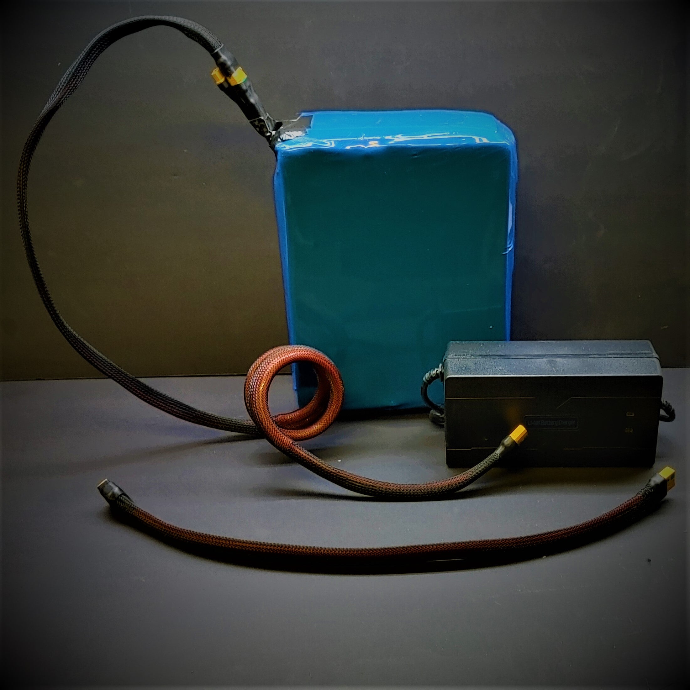 Backpack Batteries – AffordableEbikes.ca